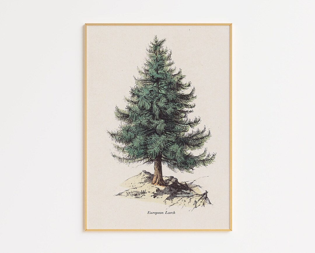 Vintage Tree Illustration Printable | Digital Print | Vintage ...
