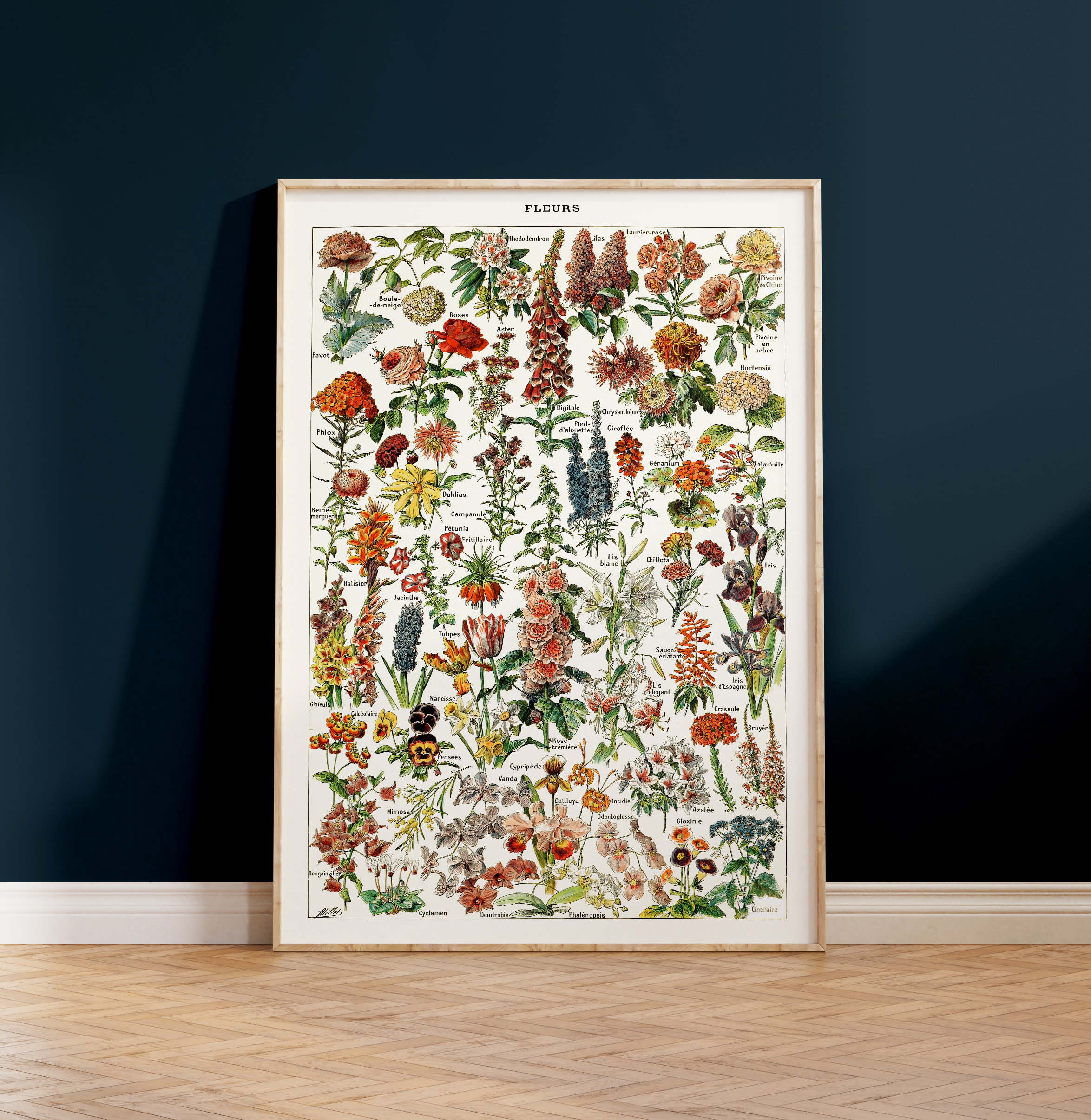 Printable Flower Poster, Botanical Wall Art, Digital Download ...