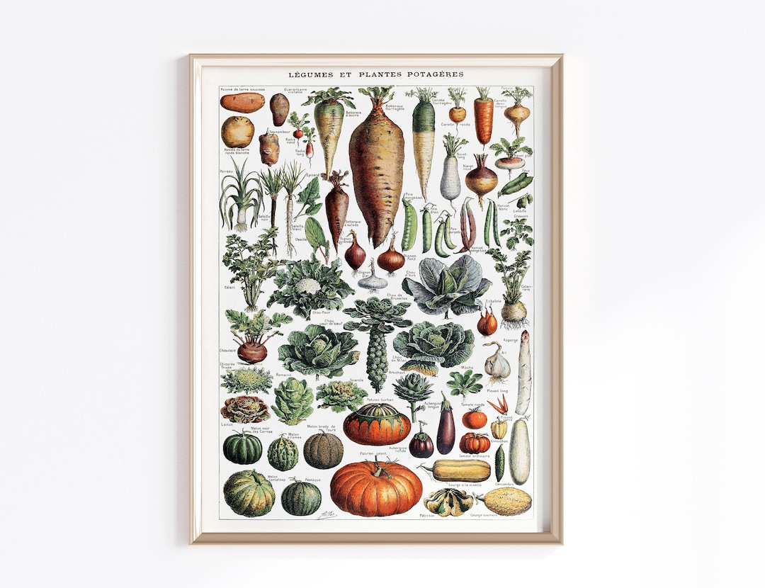 Printable Vintage Vegetables (1909) | Adolphe Millot Poster | Kitchen ...