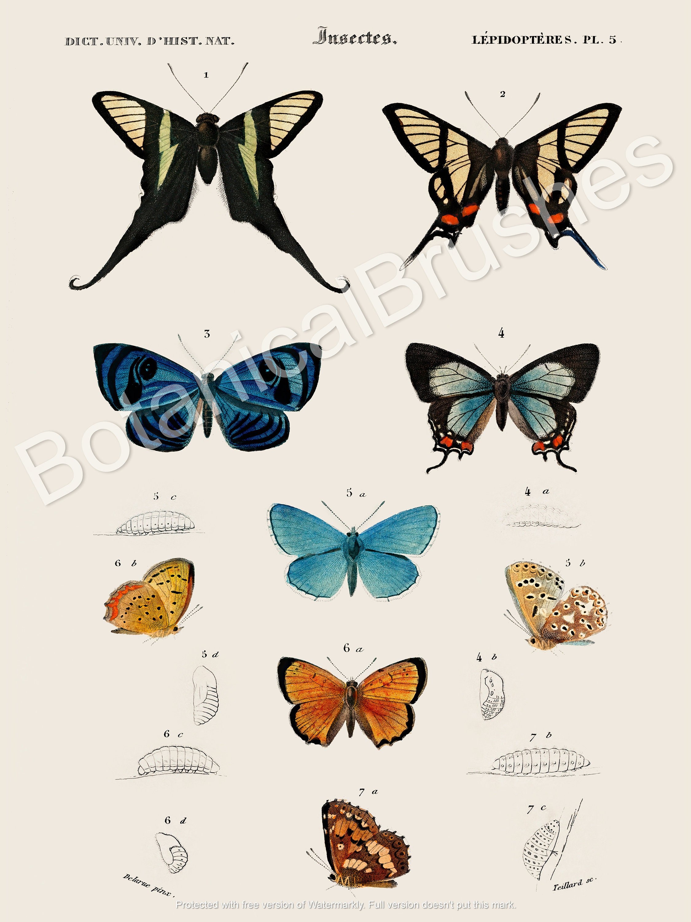 Printable Butterfly Wall Decor, Set of 3 Wall Art, Vintage Butterfly ...