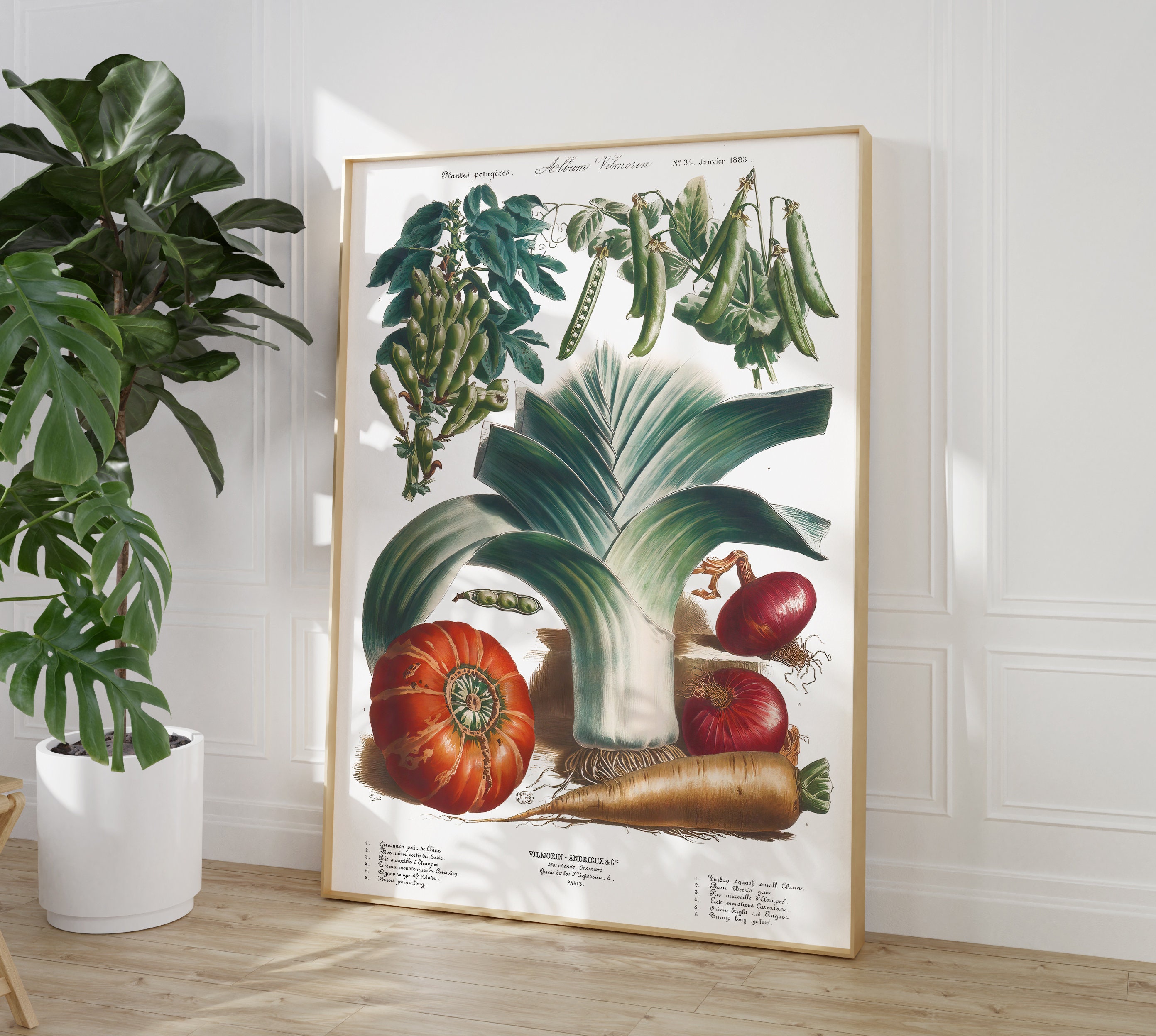 Printable Vegetable Art Digital Download Vegetable Poster Vegetables ...