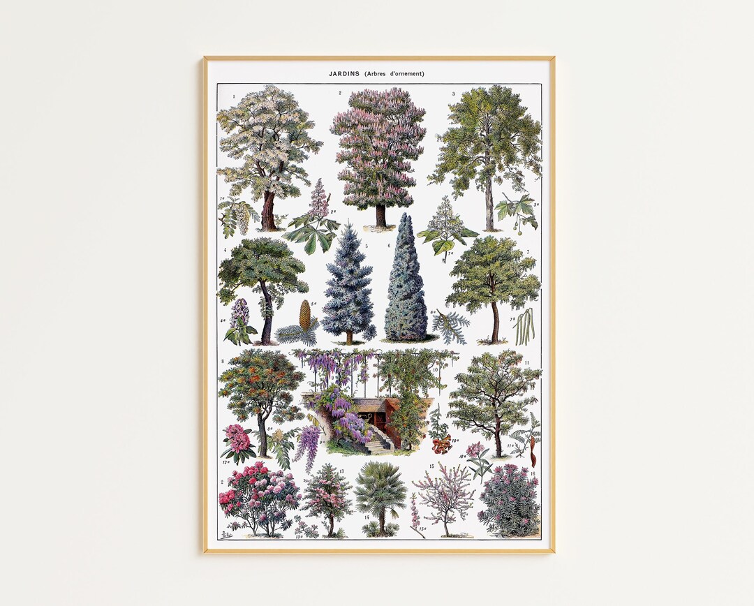 Vintage Forest Poster Digital Download | Tree Illustration | Vintage ...