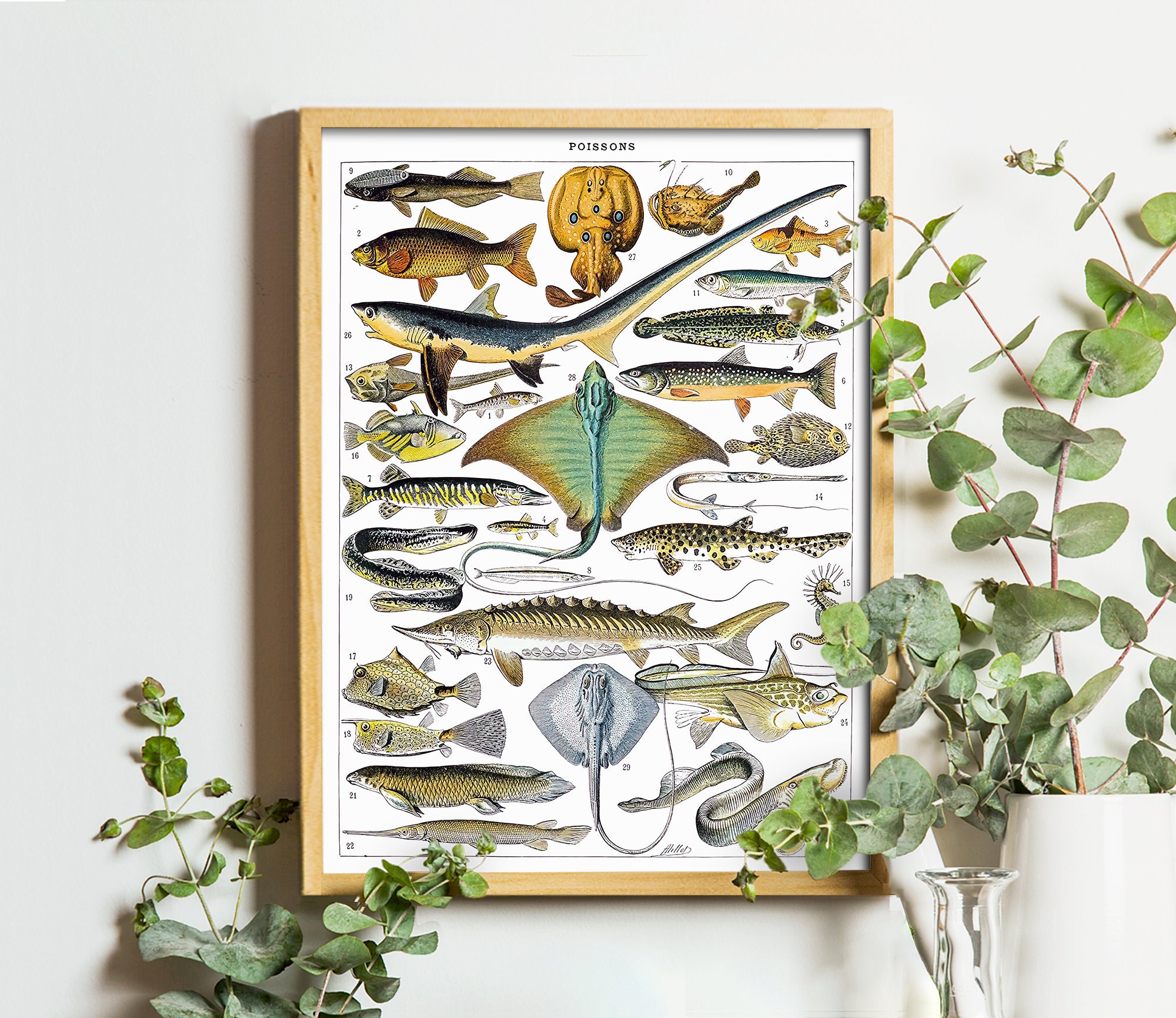 Printable Vintage Sealife Print Adolphe Millot Poster Marine Biology ...