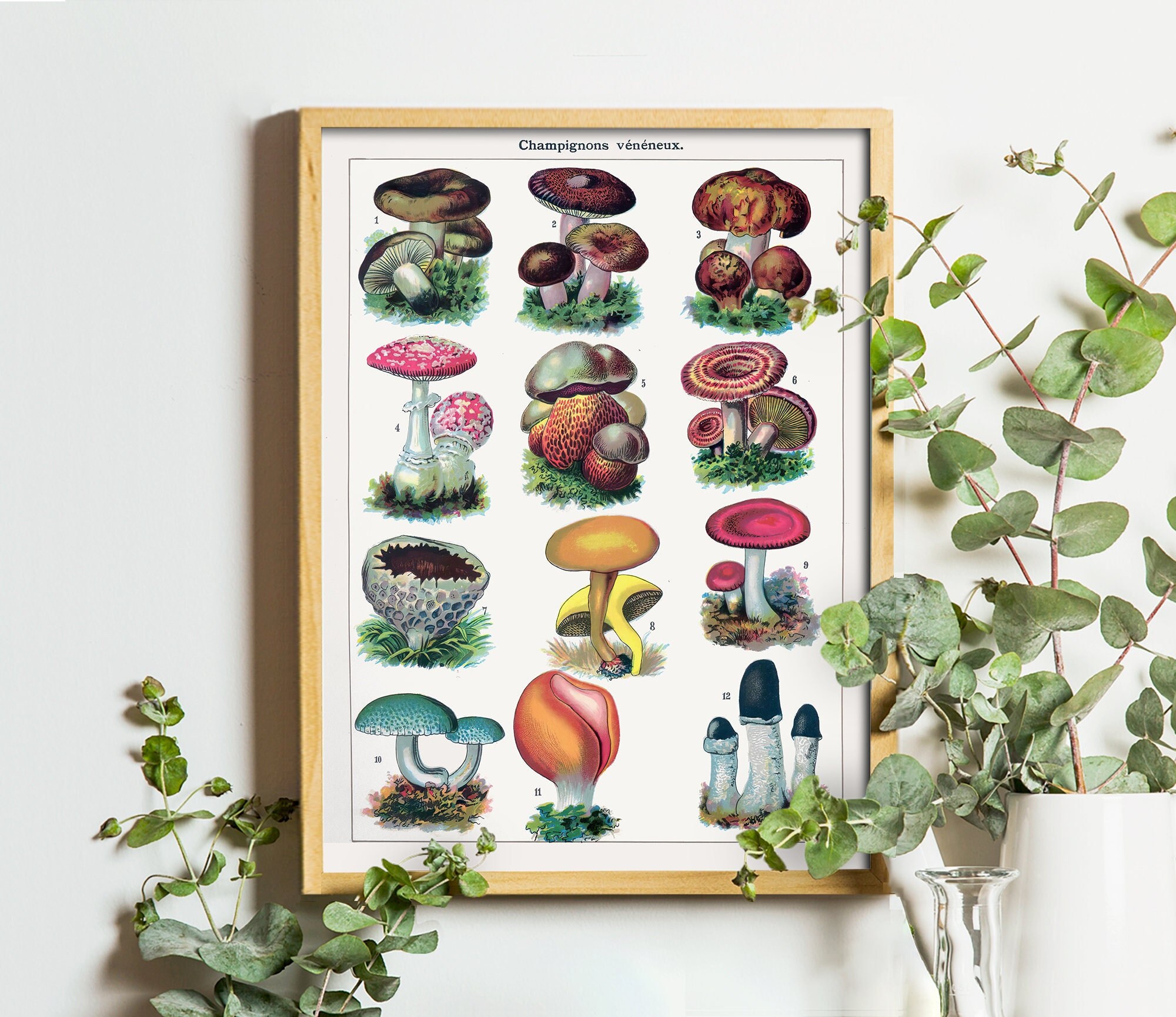 Printable Mushroom Poster Vintage Mushroom Art Print Digital Download ...