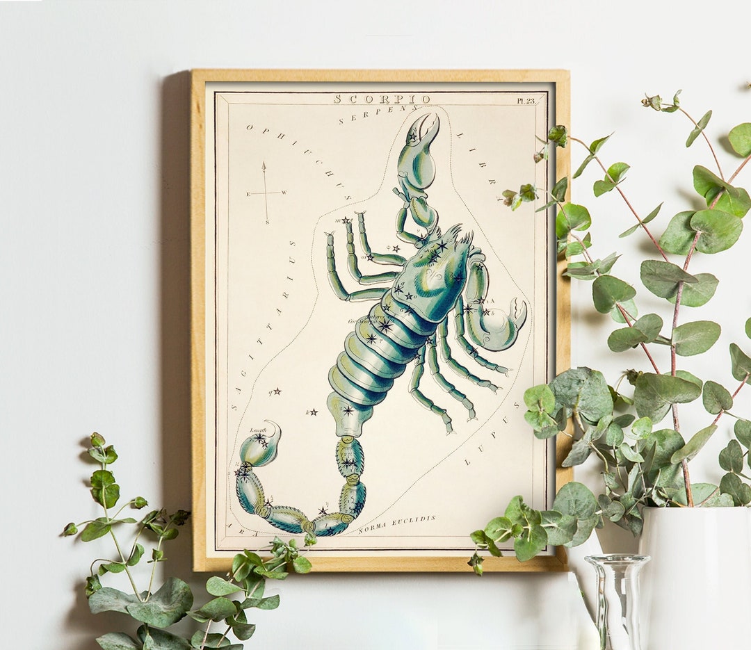 Scorpio Zodiac Printable | Astrology | Digital Download | Astrology ...