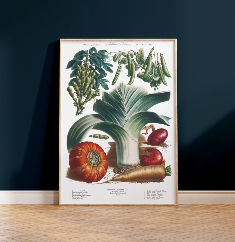 Printable Vegetable Art Digital Download Vegetable Poster Vegetables ...