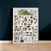 Printable Ocean Marine Life Print | Digital Download | Vintage ...