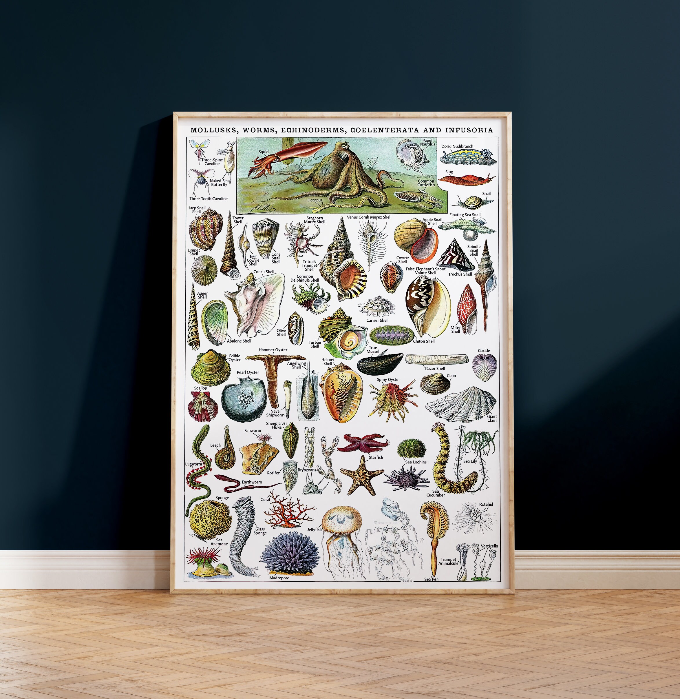 Printable Ocean Marine Life Print | Digital Download | Vintage ...