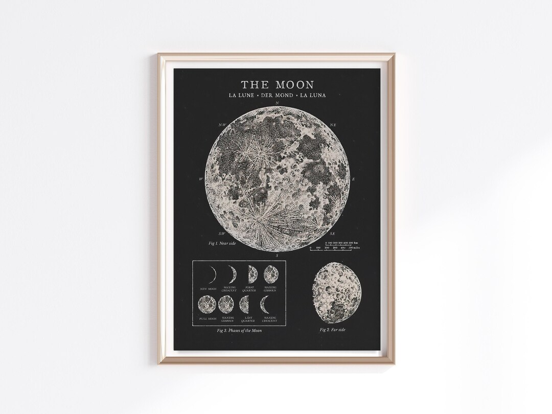 Moon Phases Printable Vintage Moon Poster Moon Phases - Etsy