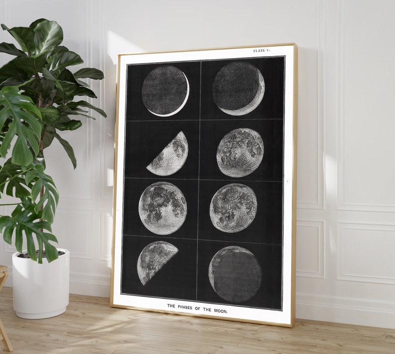 Printable Moon Phases Print Digital Download Moon Phase Poster Vintage ...