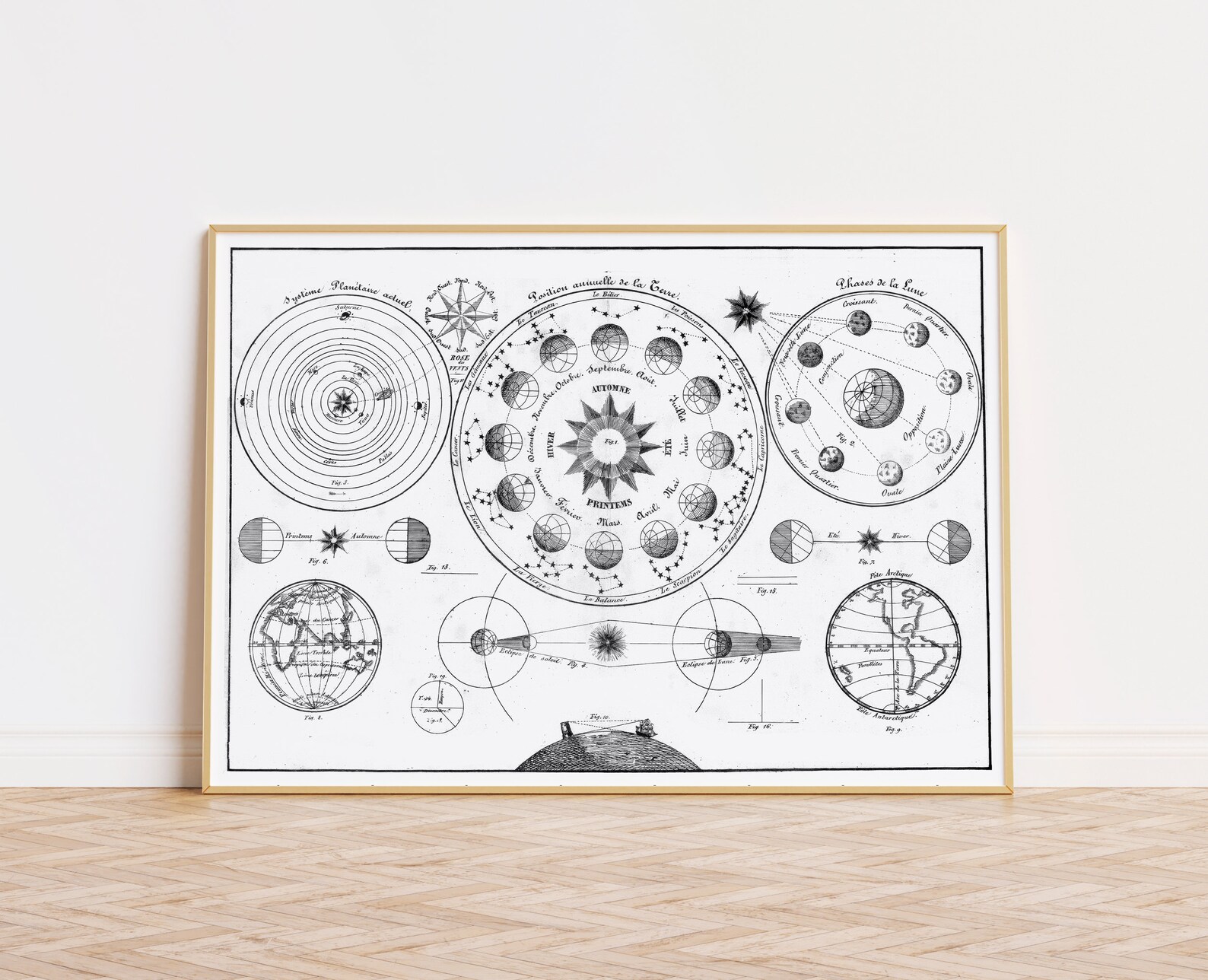 Phases of the Moon Printable | Digital Download | Moon Phases Print ...