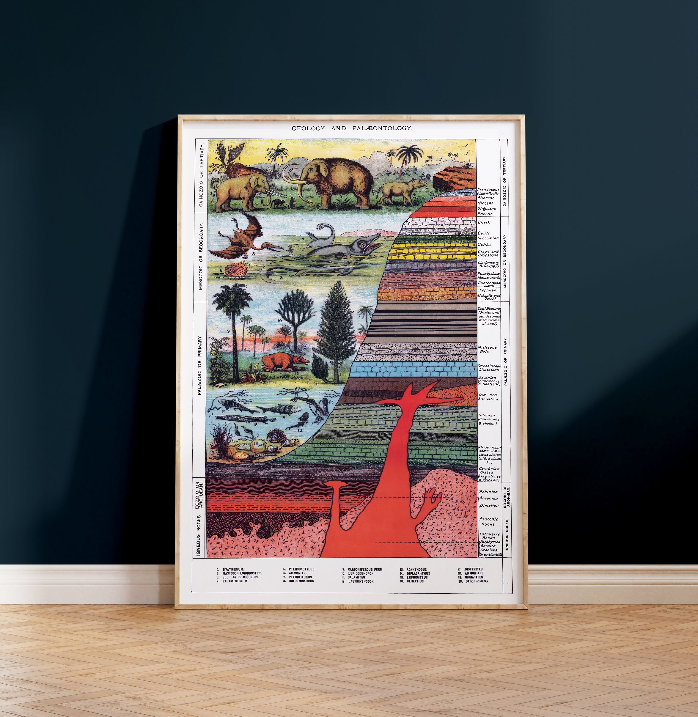 Geology and Palaentology Poster Printable Digital Download Geography ...