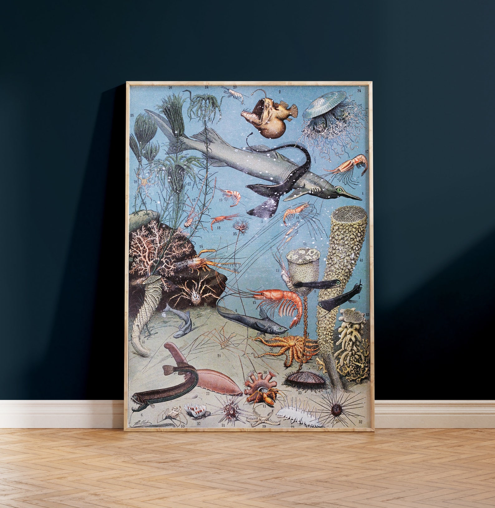 Printable Ocean Life Art Poster Digital Download Marine Life Sea Life ...