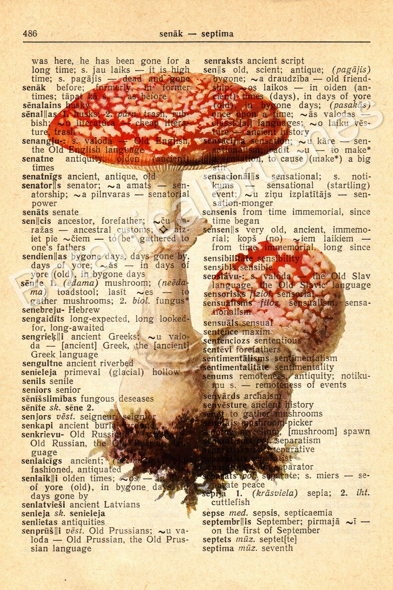 Printable | Digital Print | Mushroom Dictionary Print | Mushroom Decor ...