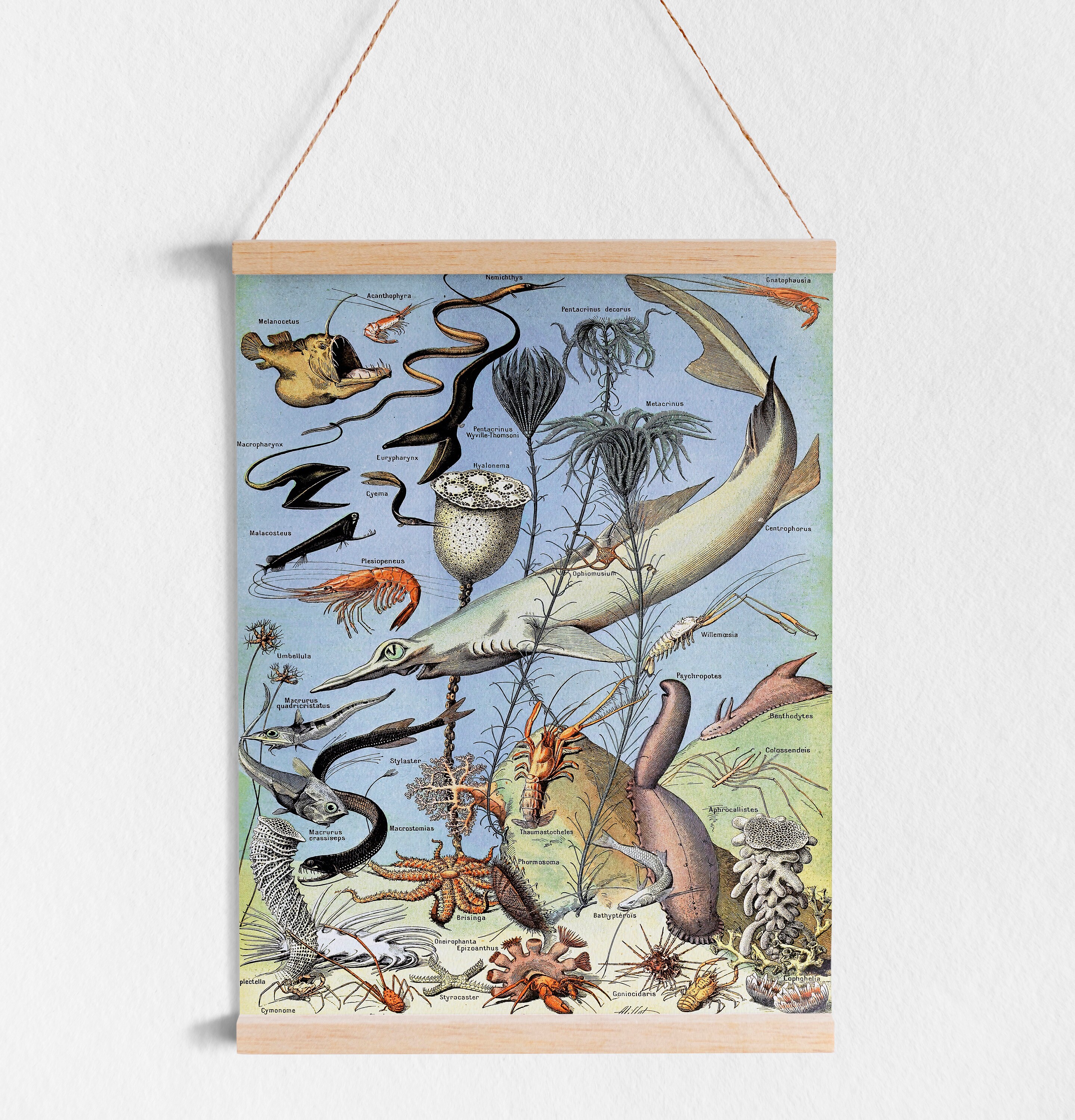 Oceanography Printable Wall Decor Adolphe Millot Digital Download ...