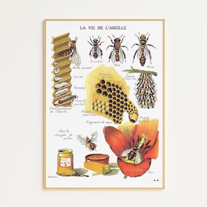 Antique Bee Art Printable | Digital Download | Bumble Bee Art Print ...