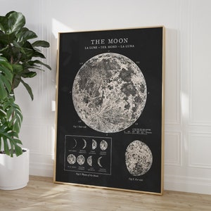 Moon Phases Printable | Vintage Moon Poster | Moon Phases Print | Lunar ...