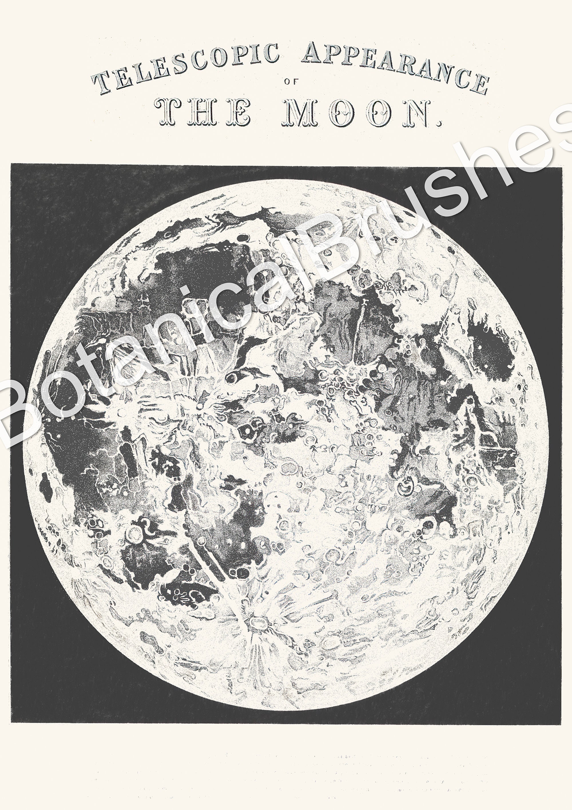The Moon Printable Wall Art Digital Download Moon Poster Antique ...