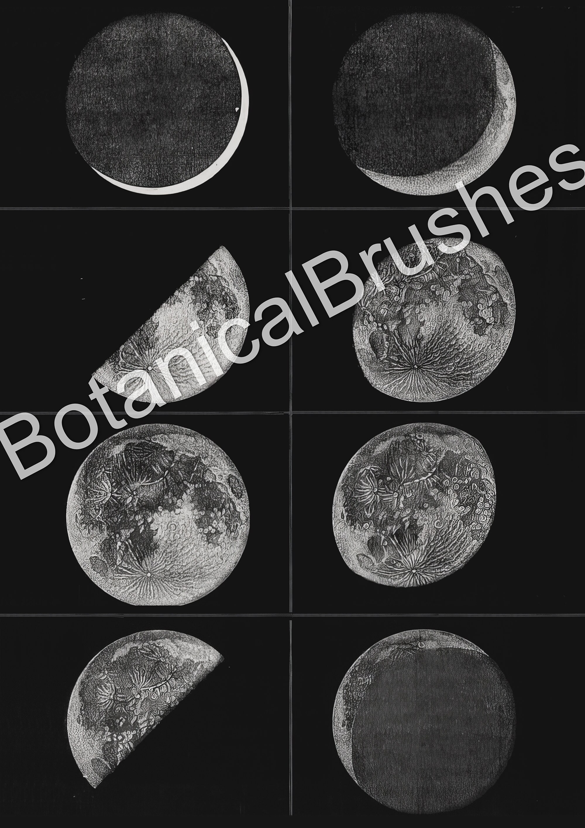 Moon Phases Printable Digital Download Moon Phases Print Astronomy ...