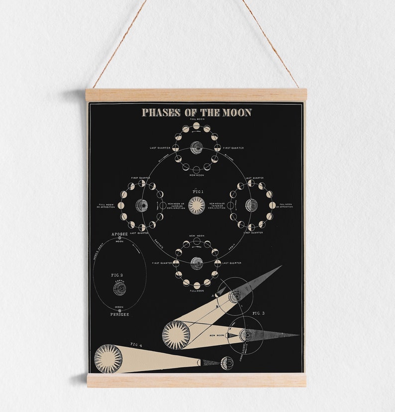 Printable Phases of the Moon Wall Art Vintage Moon Poster - Etsy
