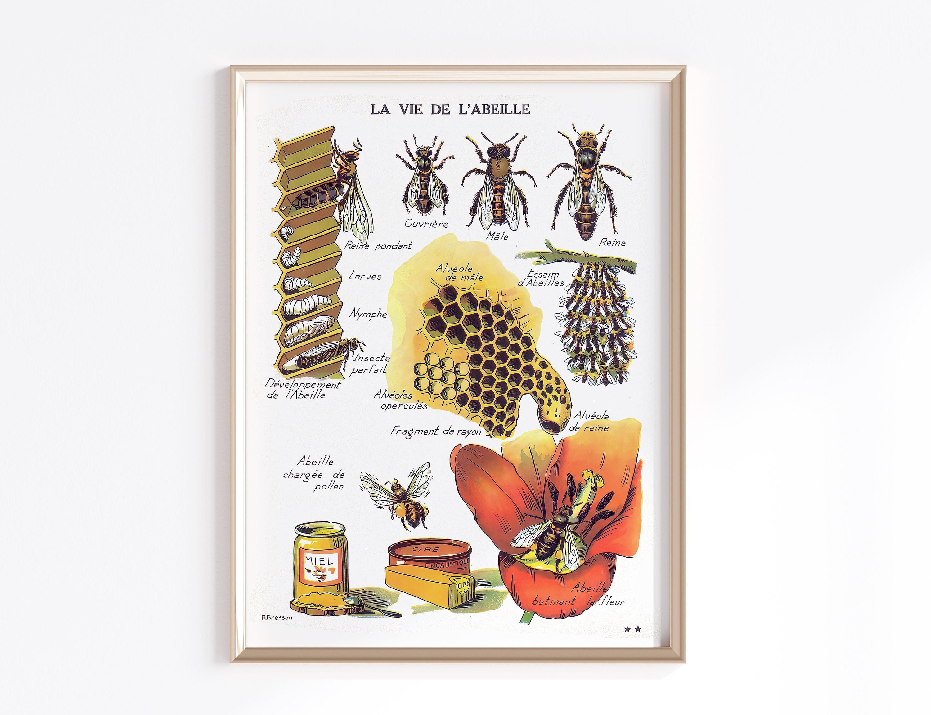 Antique Bee Art Printable | Digital Download | Bumble Bee Art Print ...