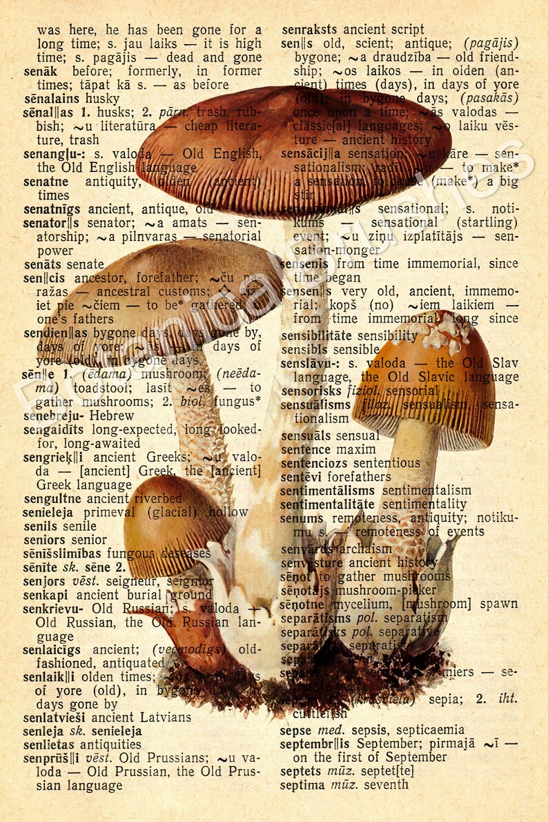 Printable | Mushroom Dictionary Print | Mushroom Decor | Cottagecore ...