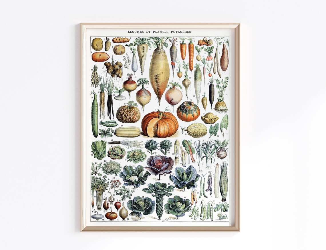 Vegetable & Fruit Print Set | Digital Download | Vegetable Poster ...