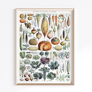 Vegetable & Fruit Print Set | Digital Download | Vegetable Poster ...