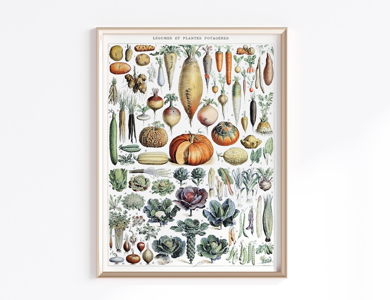 Vegetable & Fruit Print Set | Digital Download | Vegetable Poster ...