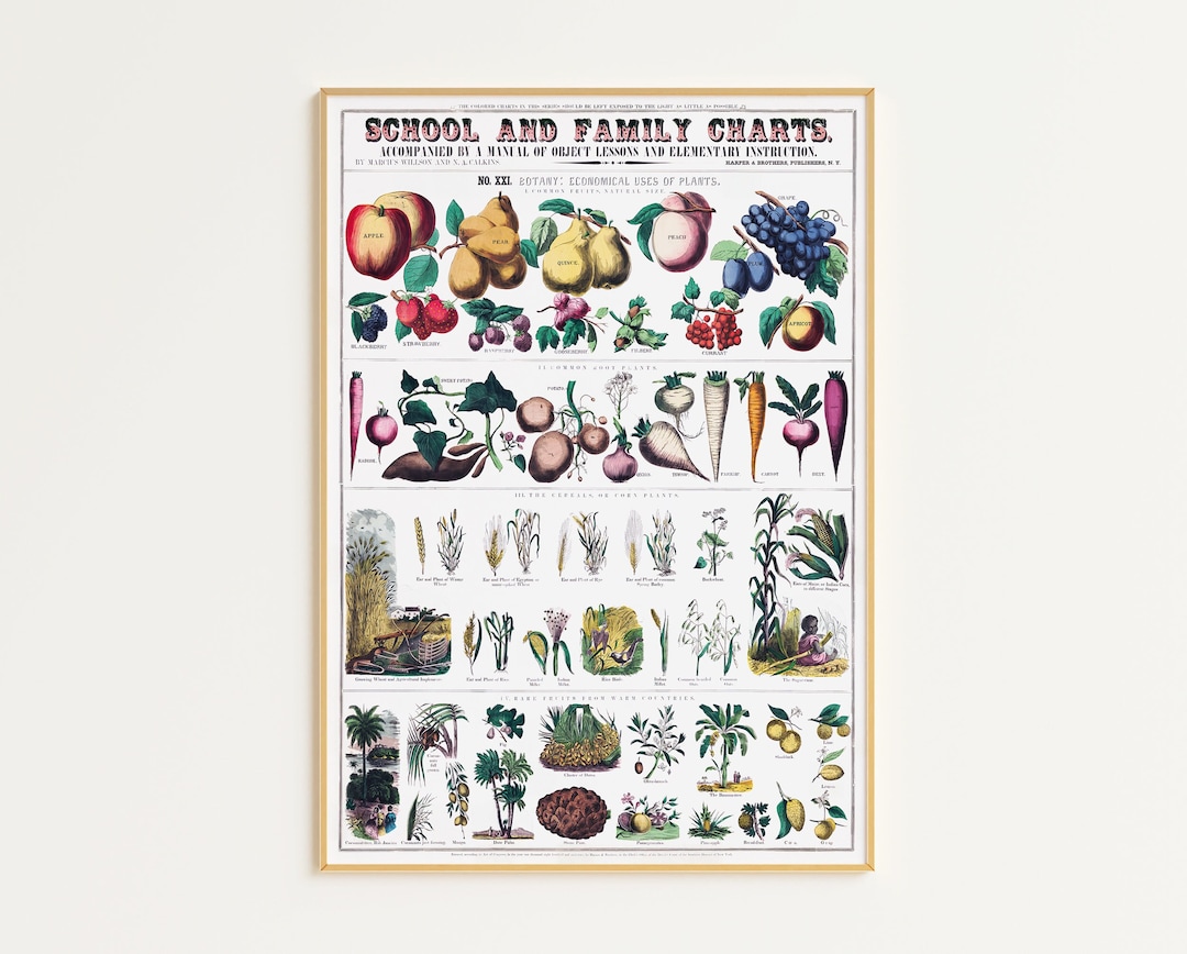 Printable Vintage Botanical Chart | Digital Download | Vintage ...