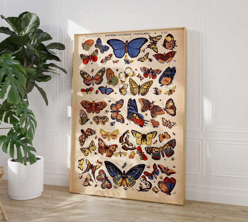 Printable Butterfly Poster Butterfly Wall Art Vintage - Etsy