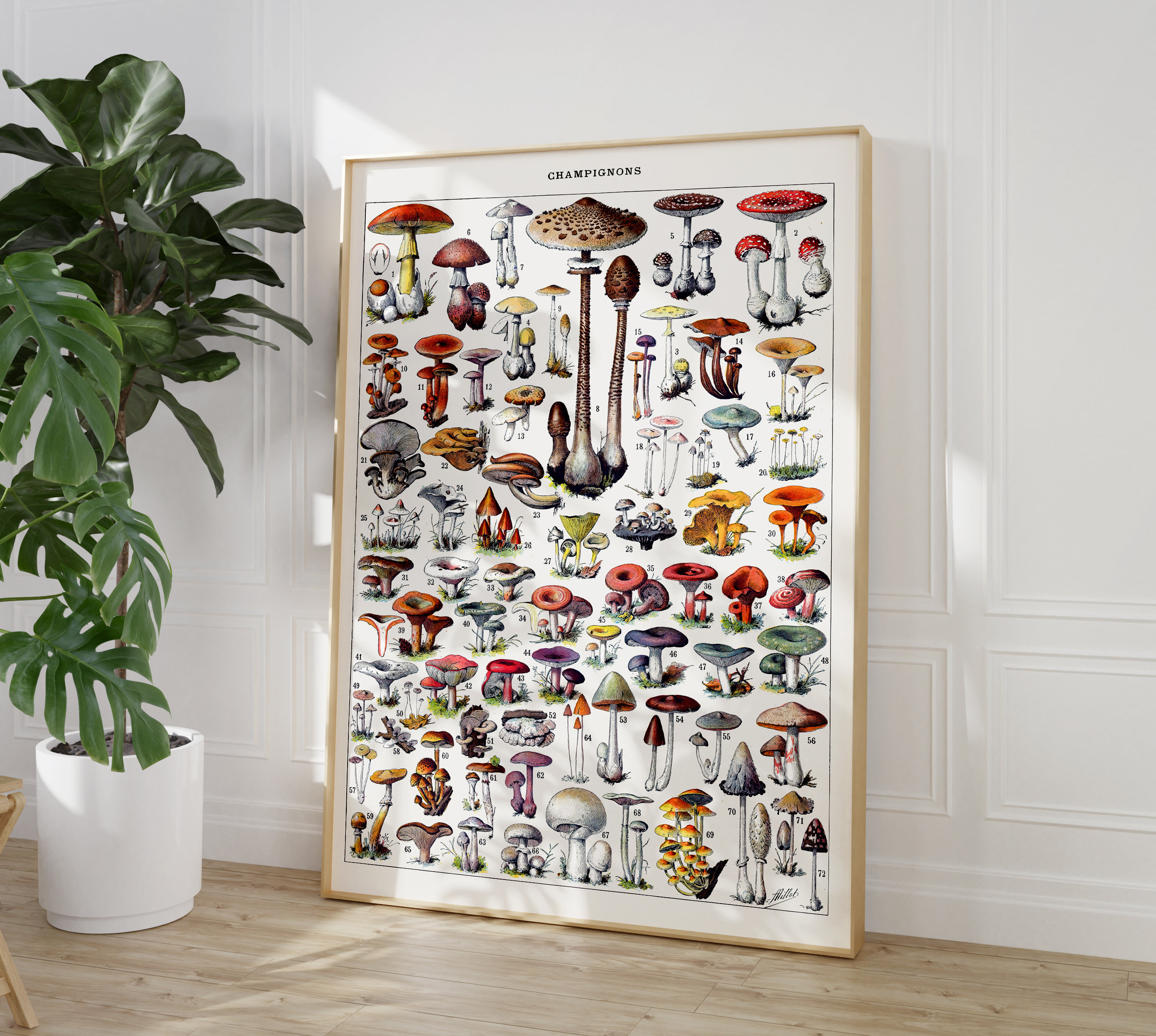 Vintage Mushroom Poster, Printable Mushroom Wall Art, Botanical Wall ...