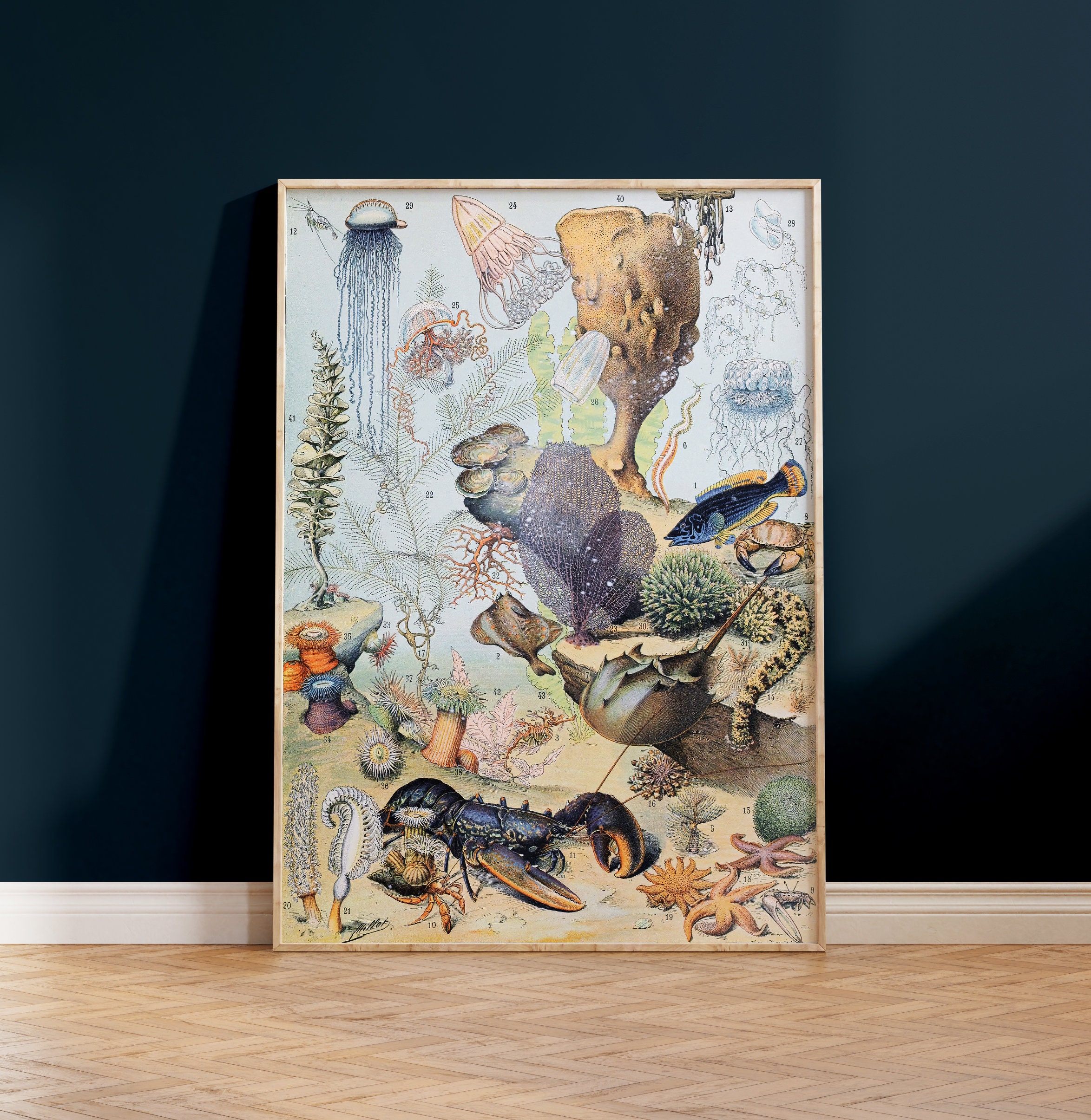 Printable Vintage Ocean Life Poster Adolphe Millot Poster Sealife Print ...