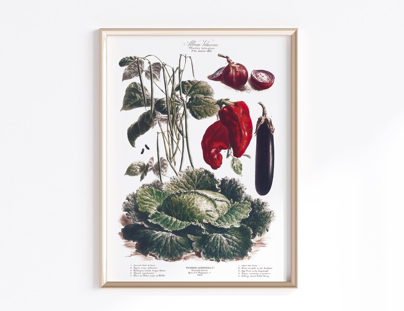 Printable Vegetable Art Set of 6 Digital Download - Etsy