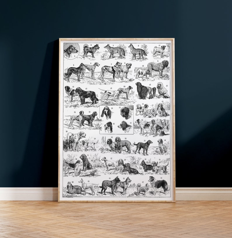 Antique Dog Breeds Printable Poster Digital Download Dog - Etsy