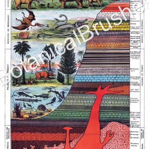 Geology and Palaentology Poster Printable | Digital Download ...