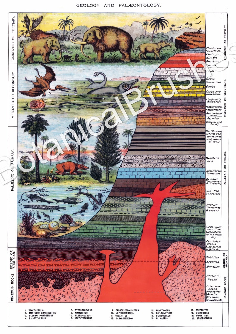 Geology and Palaentology Poster Printable Digital Download Geography ...