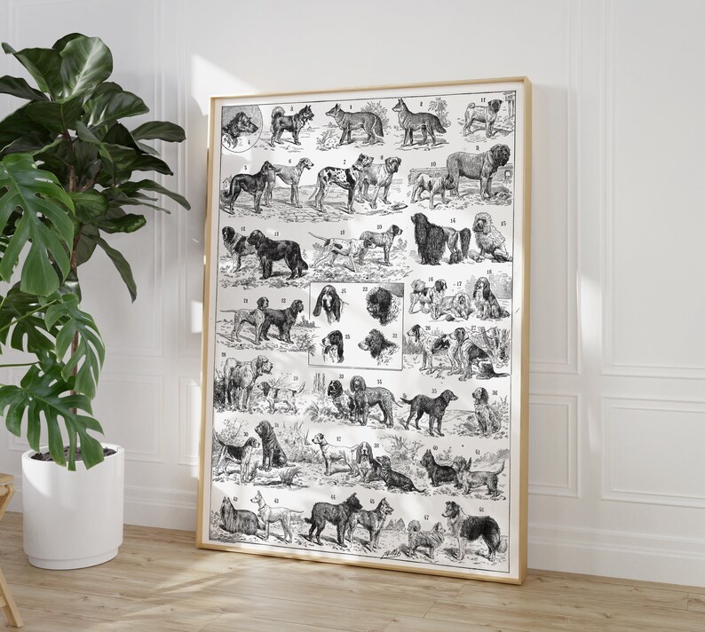 Antique Dog Breeds Printable Poster Digital Download Dog - Etsy