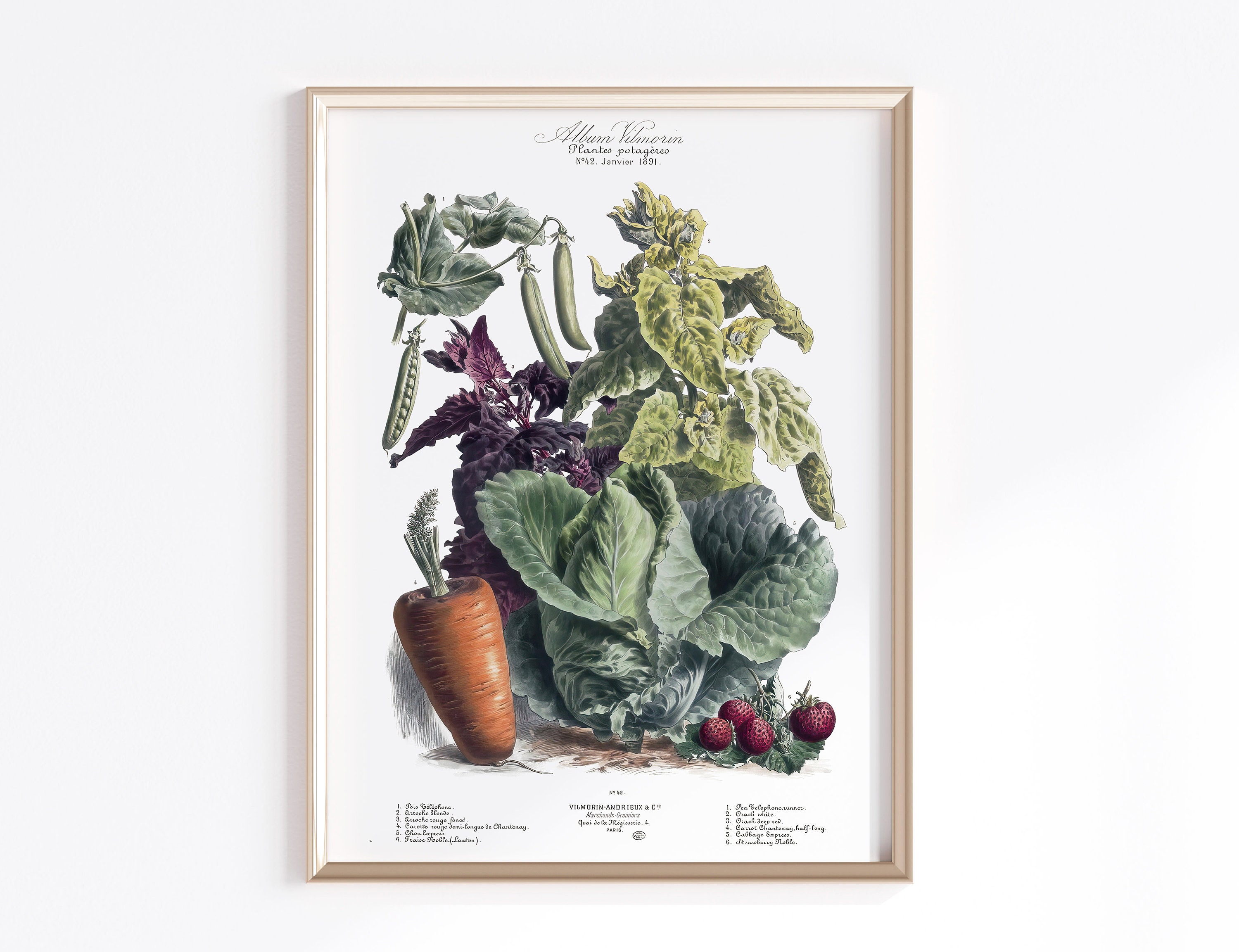 Printable Vegetable Art Set of 6 | Digital Download | Vegetable Poster ...