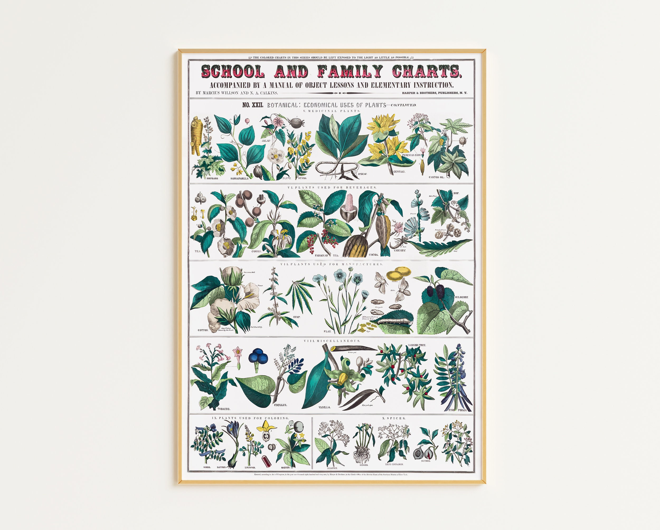 Printable Vintage Botanical Chart Digital Download Educational Posters ...