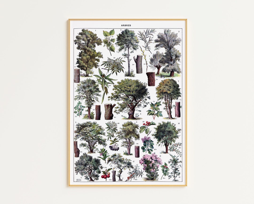 Printable Vintage Forest Poster | Digital Download | Adolphe Millot ...