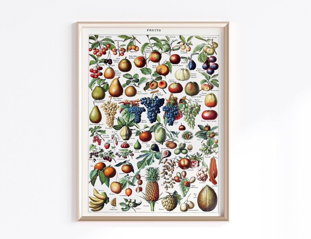 Printable Vintage Fruit Poster | Digital Download | Vintage Posters ...