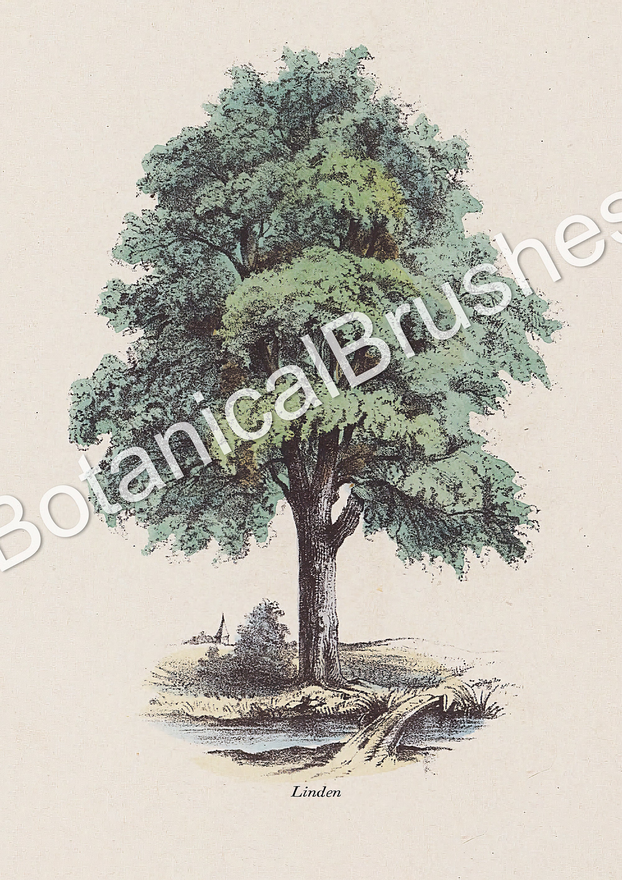 Vintage Tree Illustration Printable | Digital Print | Farmhouse Wall ...