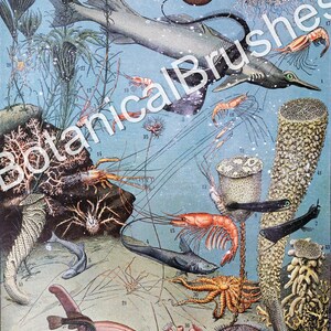 Printable Ocean Life Art Poster | Digital Download | Marine Life | Sea ...