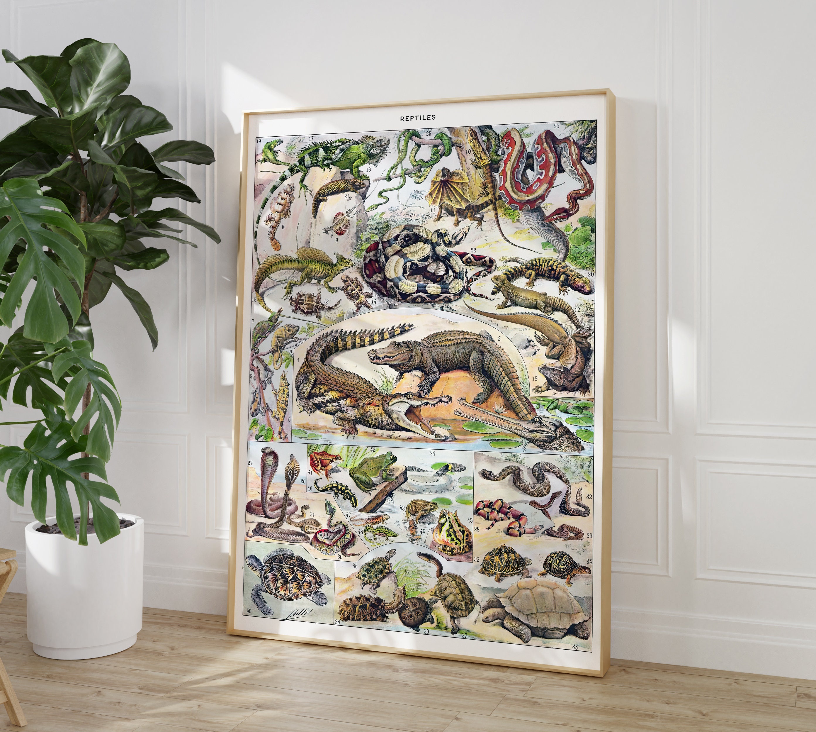 Antique Reptile Poster Printable Art Digital Download Adolphe Millot ...