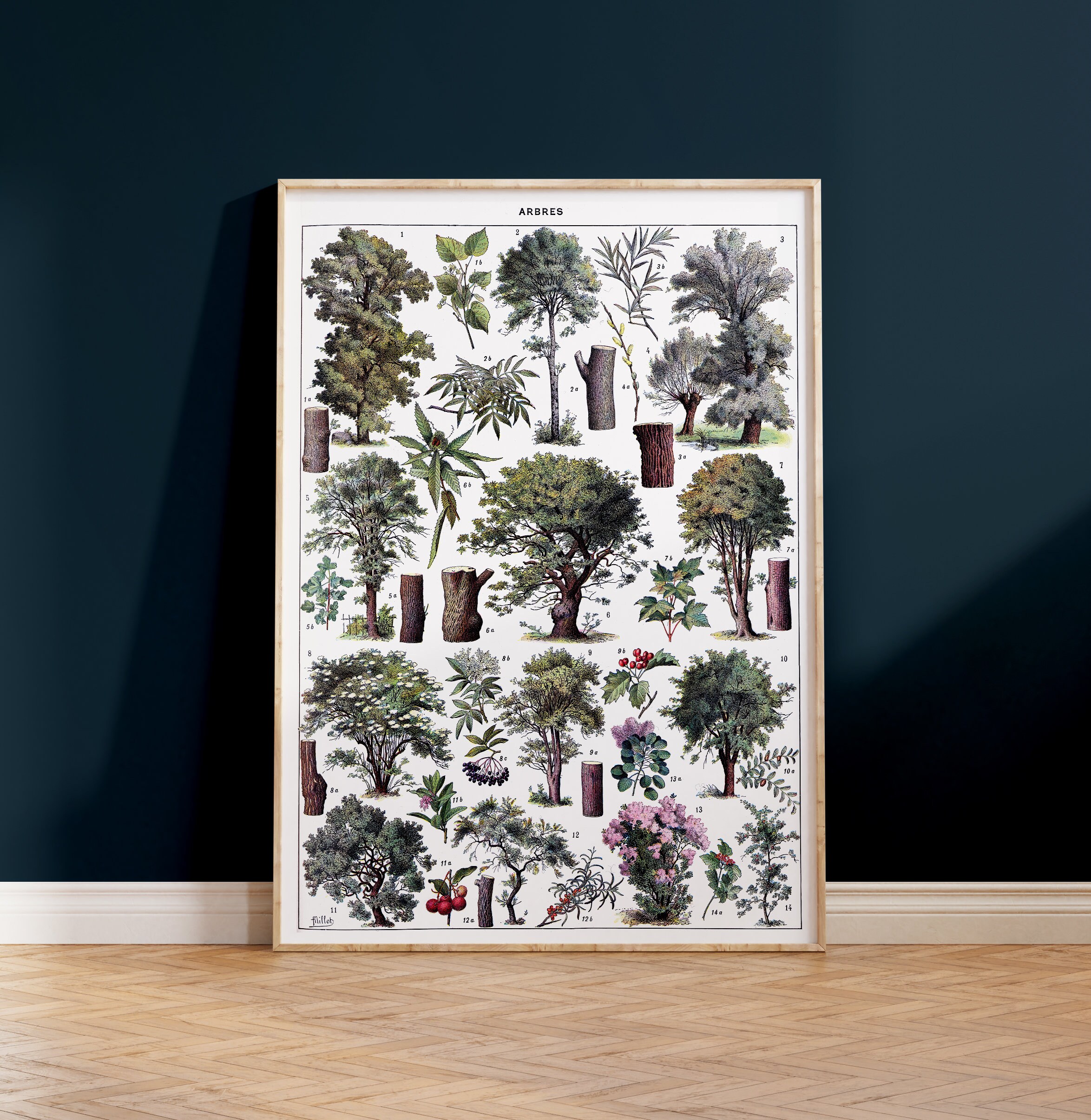 Printable Vintage Forest Poster Digital Download Adolphe Millot Poster ...