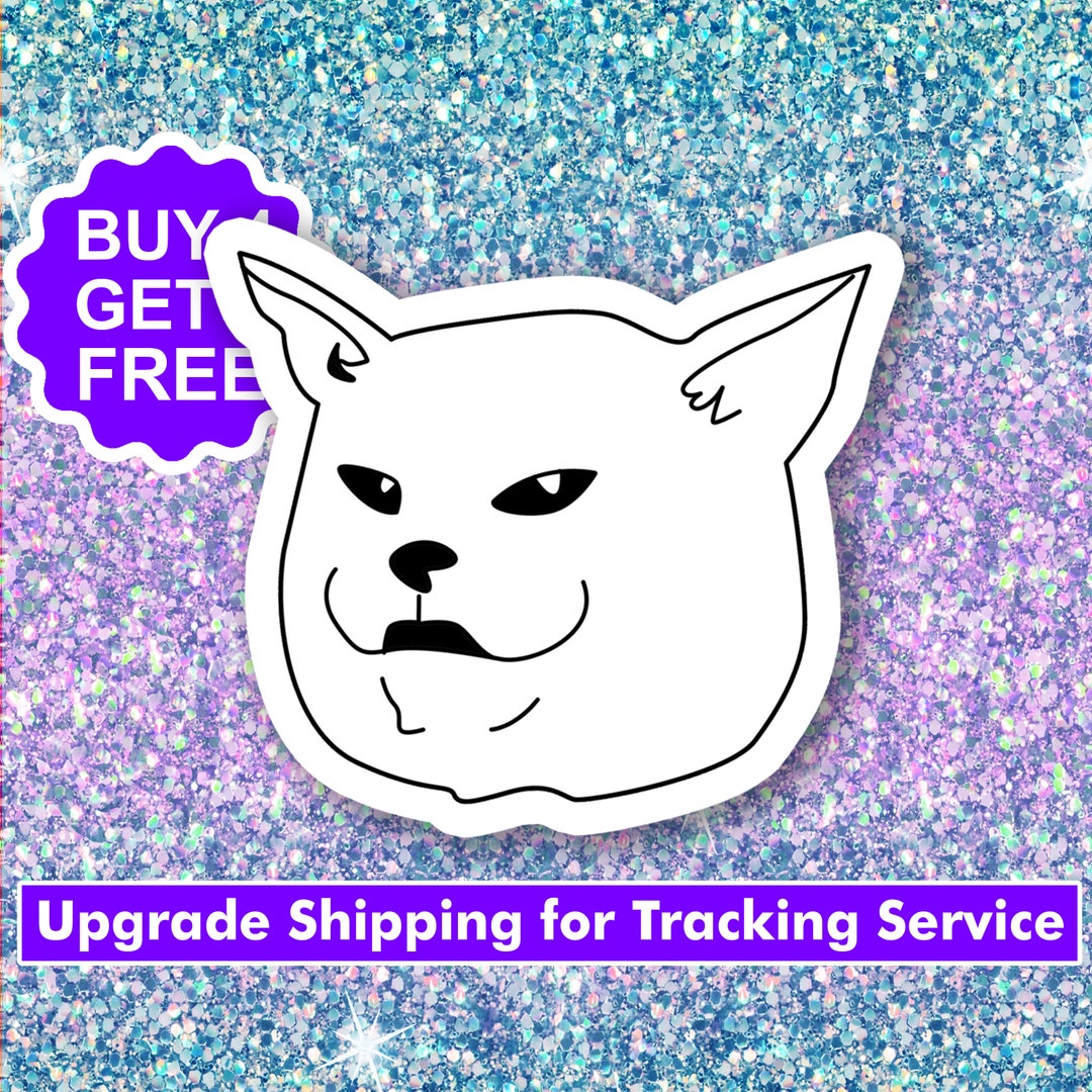 Confused Cat Sticker Funny Water Bottle Sticker Meme Macbook - Etsy