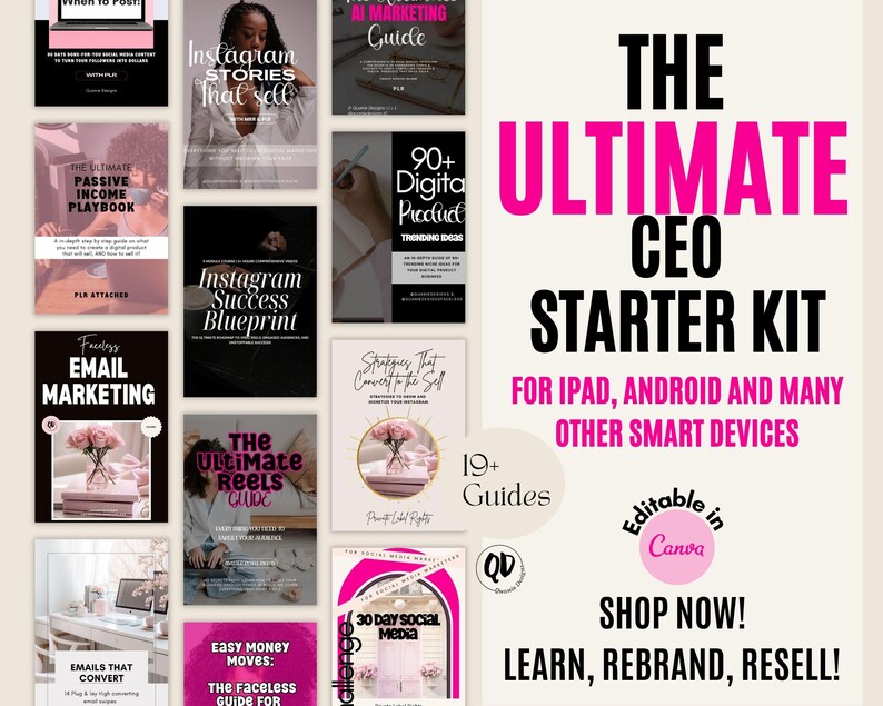 The Ultimate CEO Starter Kit Done for You Digital Products PLR Private ...