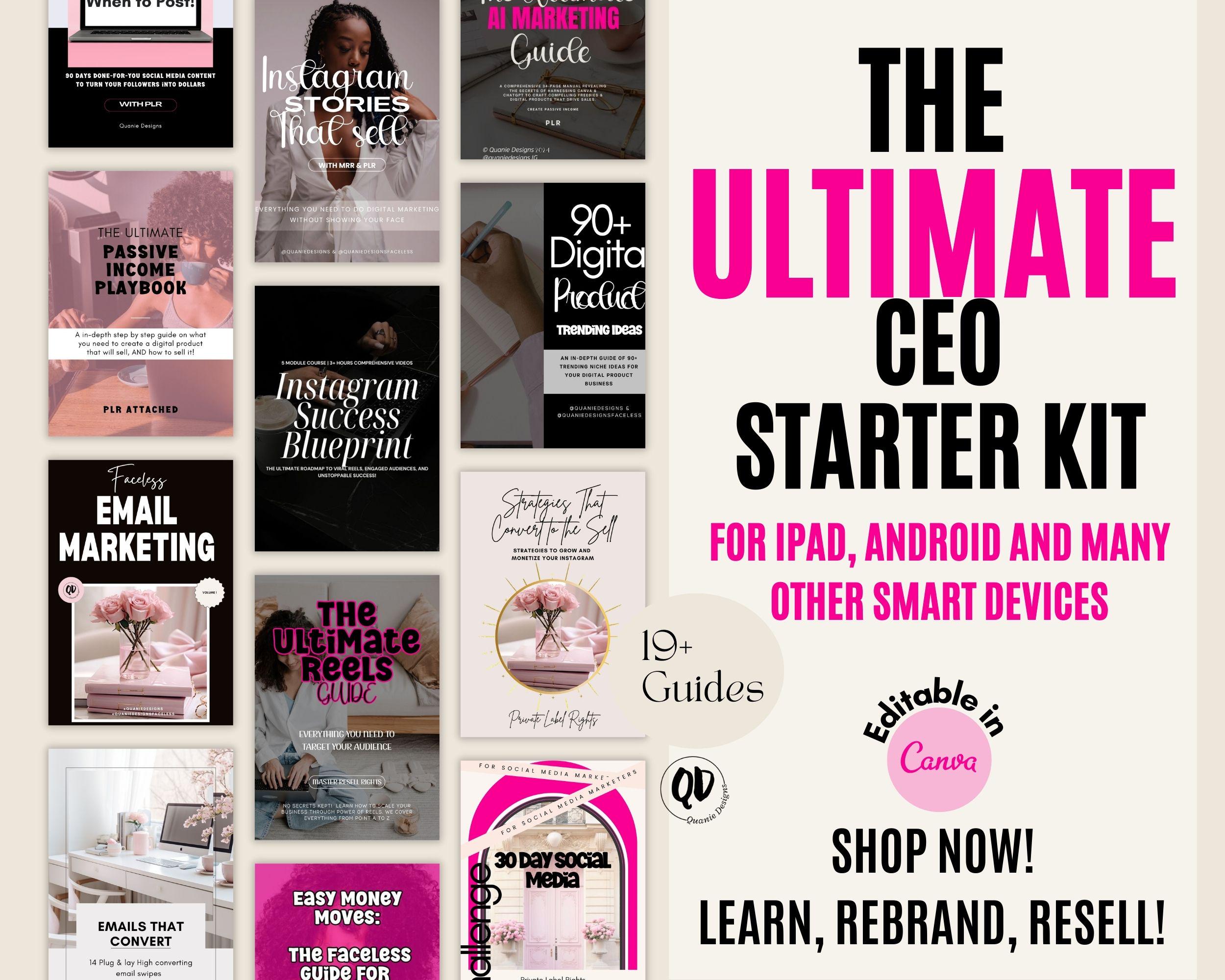 The Ultimate CEO Starter Kit Done for You Digital Products PLR Private ...
