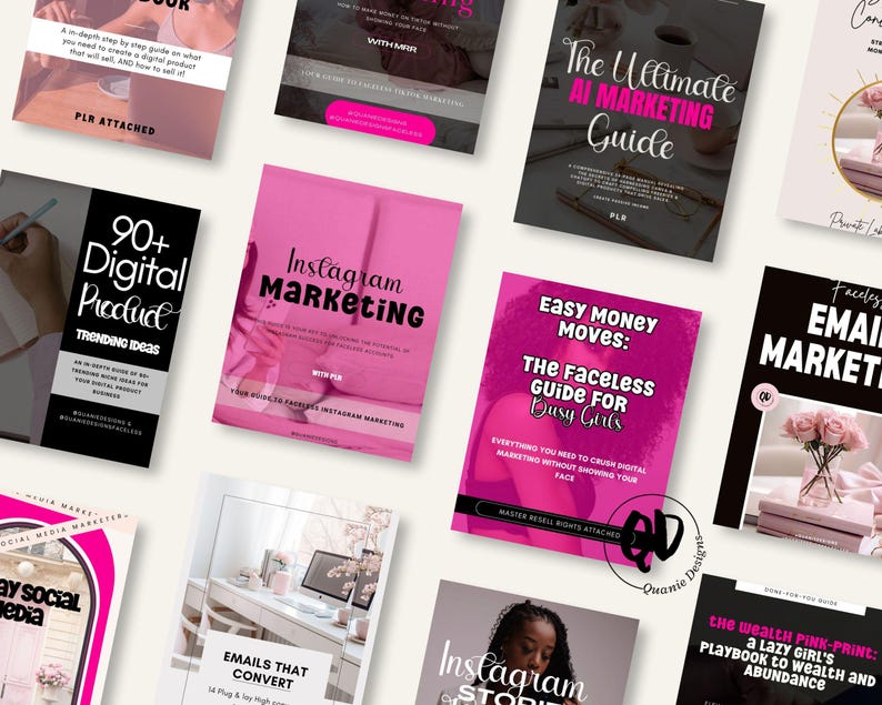 The Ultimate CEO Starter Kit Done for You Digital Products PLR Private ...